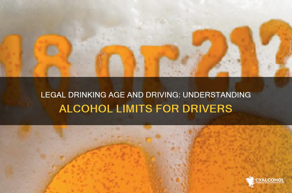 Legal Drinking Age And Driving: Understanding Alcohol Limits For ...