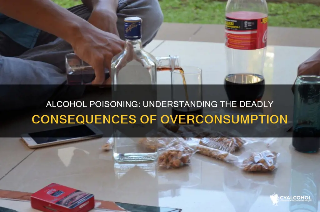 Alcohol Poisoning: Understanding The Deadly Consequences Of ...