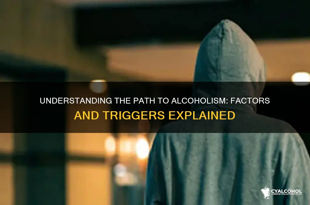 Understanding The Path To Alcoholism: Factors And Triggers Explained ...