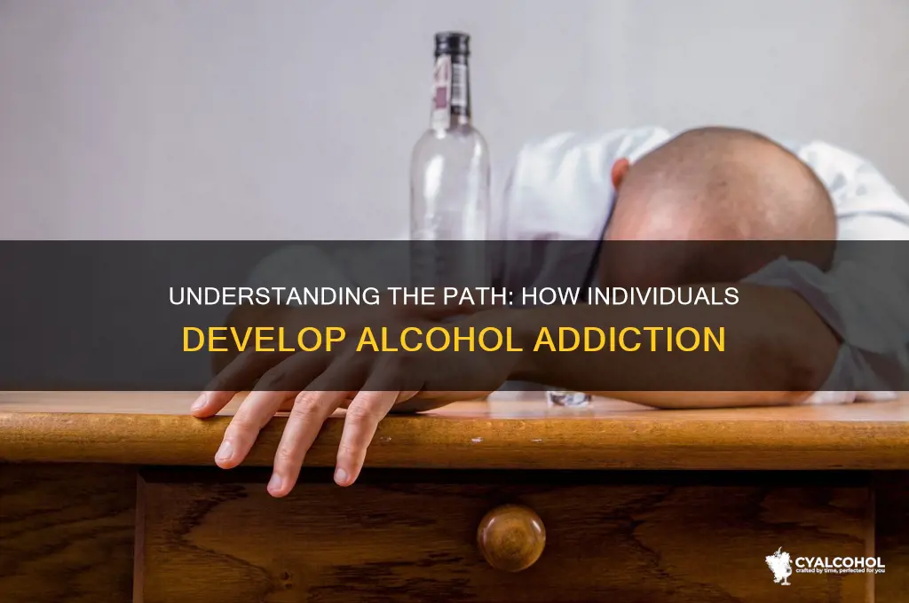 Understanding The Path: How Individuals Develop Alcohol Addiction ...