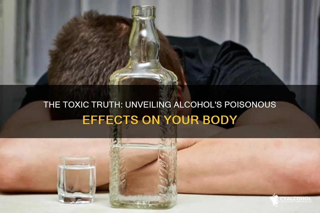 The Toxic Truth: Unveiling Alcohol's Poisonous Effects On Your Body ...