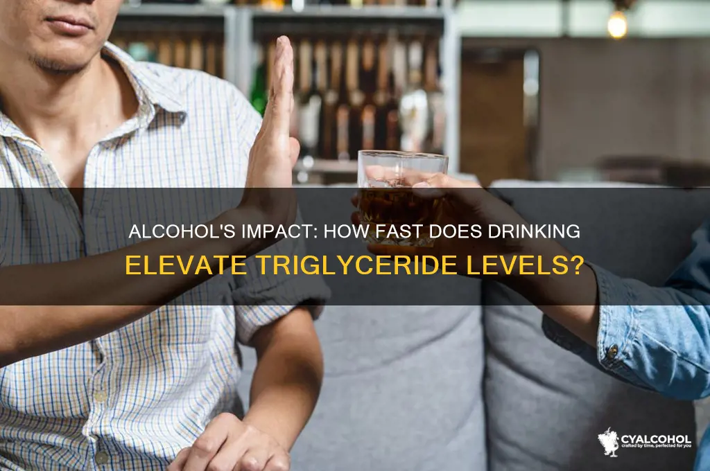 Alcohol's Impact: How Fast Does Drinking Elevate Triglyceride Levels ...