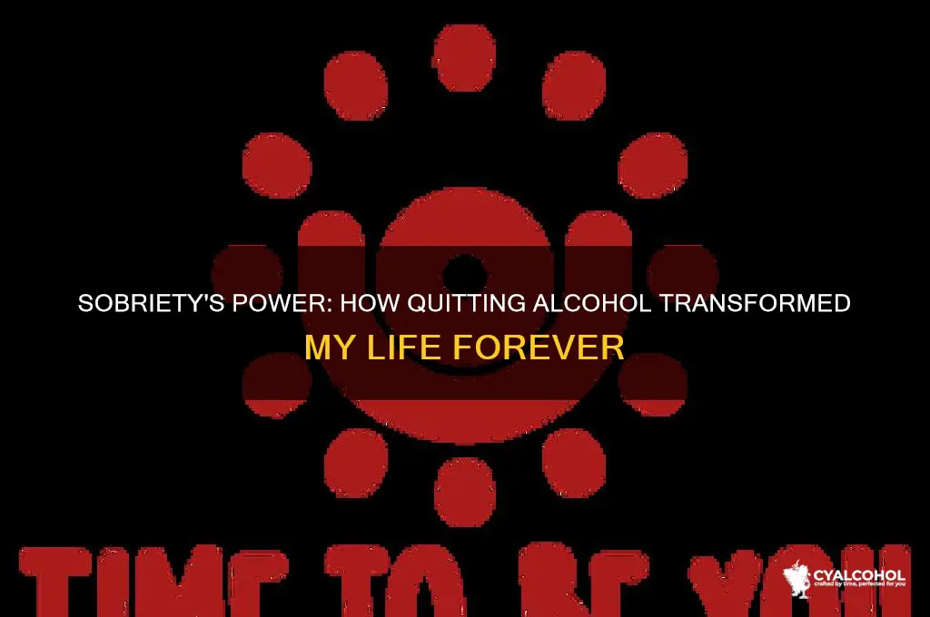 Sobriety's Power: How Quitting Alcohol Transformed My Life Forever ...