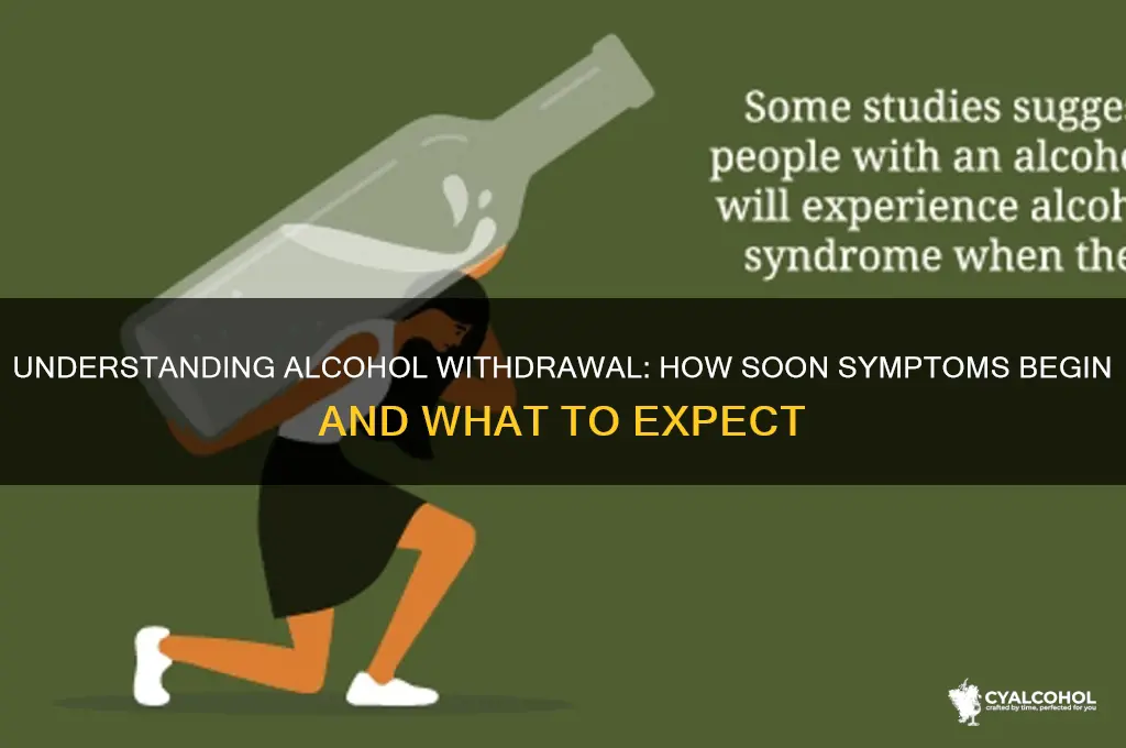 Understanding Alcohol Withdrawal: How Soon Symptoms Begin And What To ...
