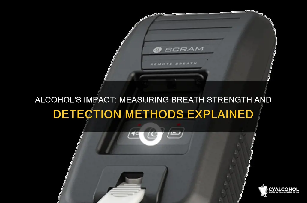 Alcohol's Impact: Measuring Breath Strength And Detection Methods ...