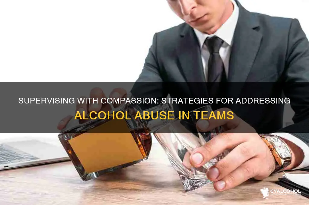 Supervising With Compassion: Strategies For Addressing Alcohol Abuse In ...