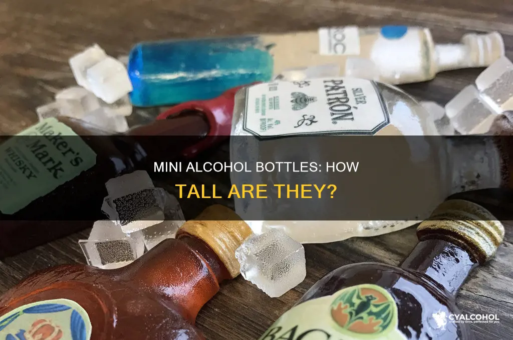Mini Alcohol Bottles: How Tall Are They? | CyAlcohol