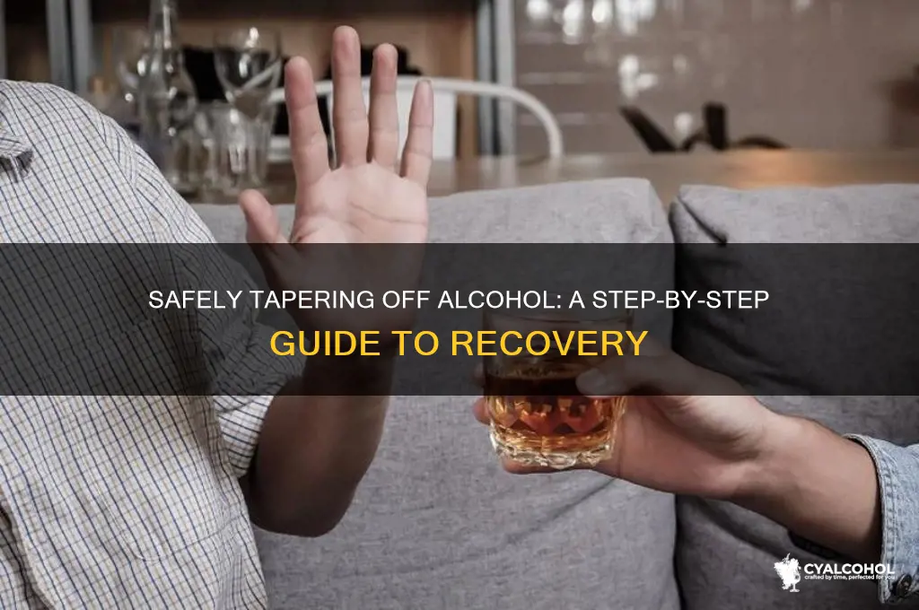 Safely Tapering Off Alcohol: A Step-By-Step Guide To Recovery | CyAlcohol