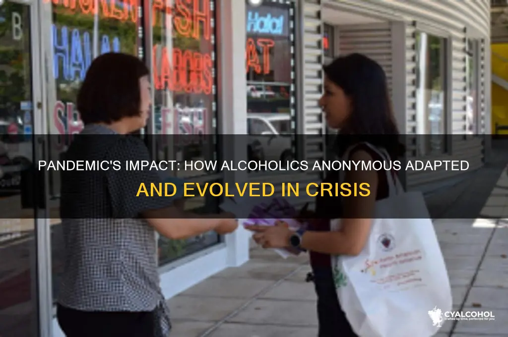 Pandemic's Impact: How Alcoholics Anonymous Adapted And Evolved In ...