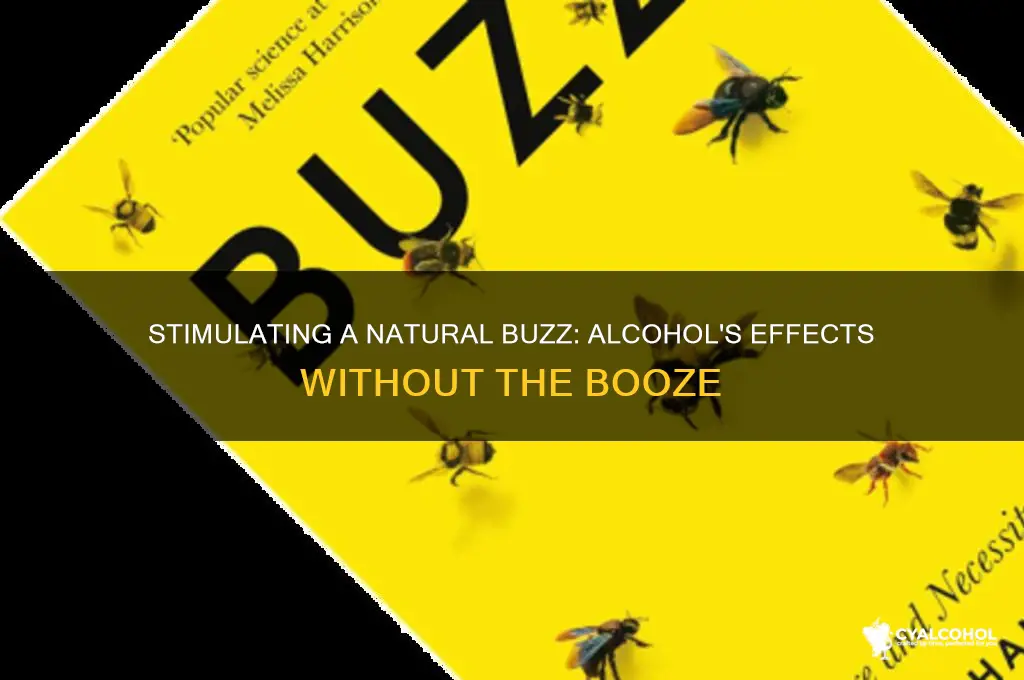 Stimulating A Natural Buzz: Alcohol's Effects Without The Booze | CyAlcohol
