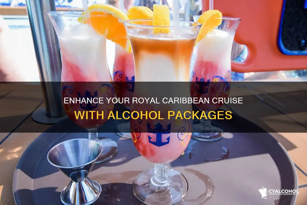 Enhance Your Royal Caribbean Cruise With Alcohol Packages | CyAlcohol