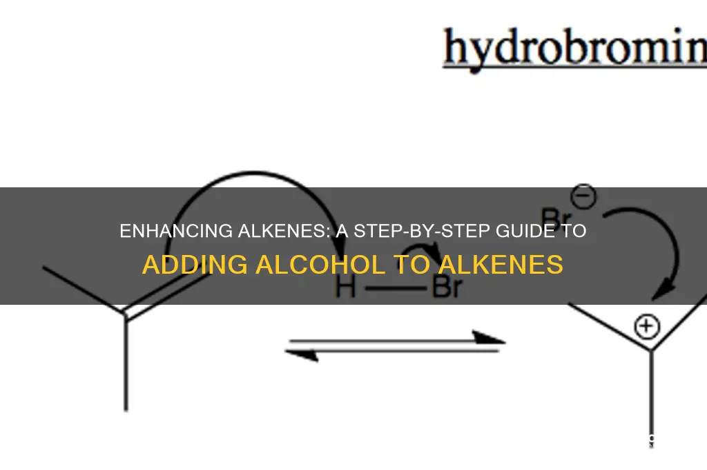 Enhancing Alkenes: A Step-By-Step Guide To Adding Alcohol To Alkenes ...