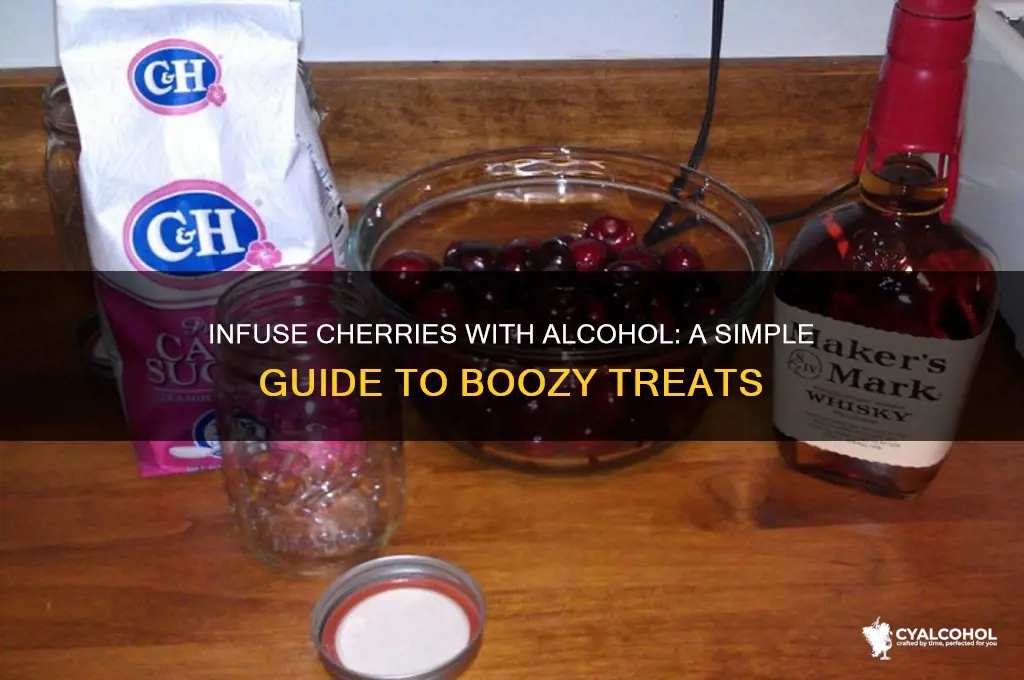 Infuse Cherries With Alcohol: A Simple Guide To Boozy Treats | CyAlcohol