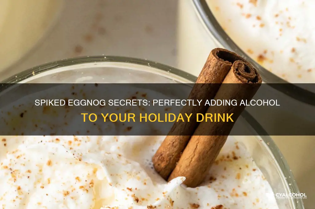 Spiked Eggnog Secrets: Perfectly Adding Alcohol To Your Holiday Drink ...