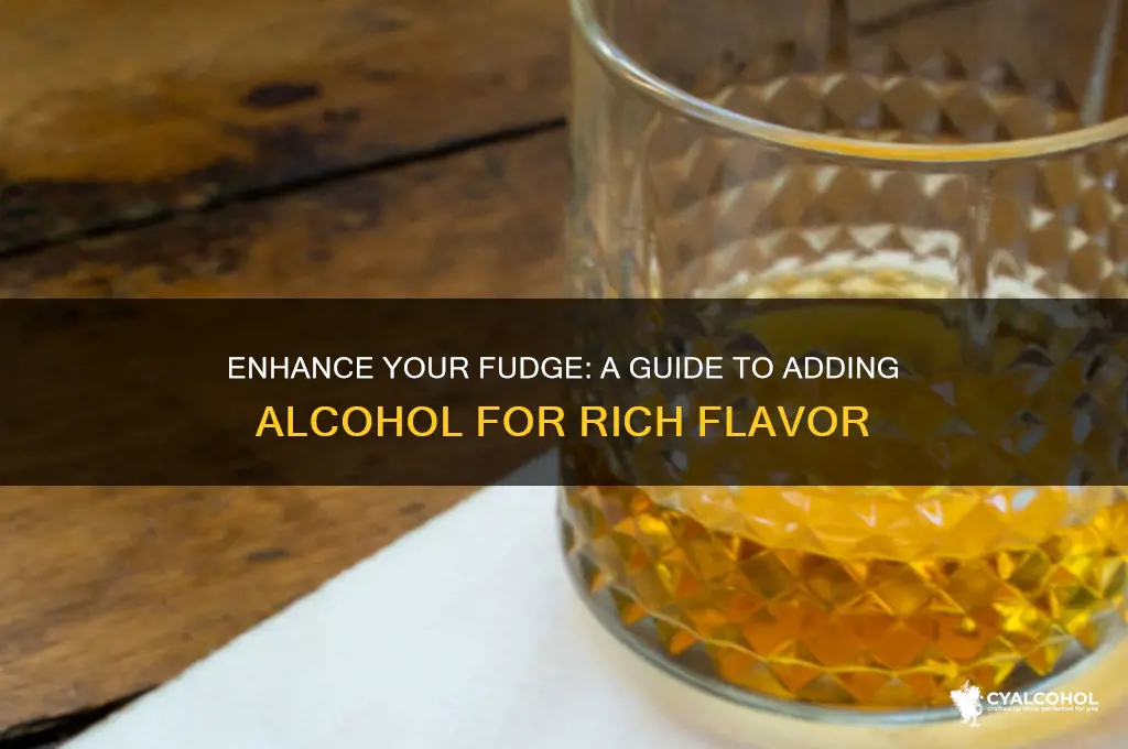 Enhance Your Fudge: A Guide To Adding Alcohol For Rich Flavor | CyAlcohol