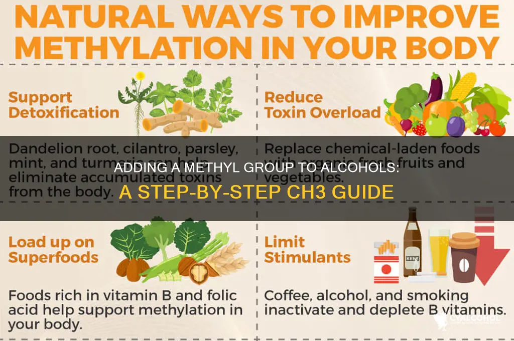 Adding A Methyl Group To Alcohols: A Step-By-Step Ch3 Guide | CyAlcohol