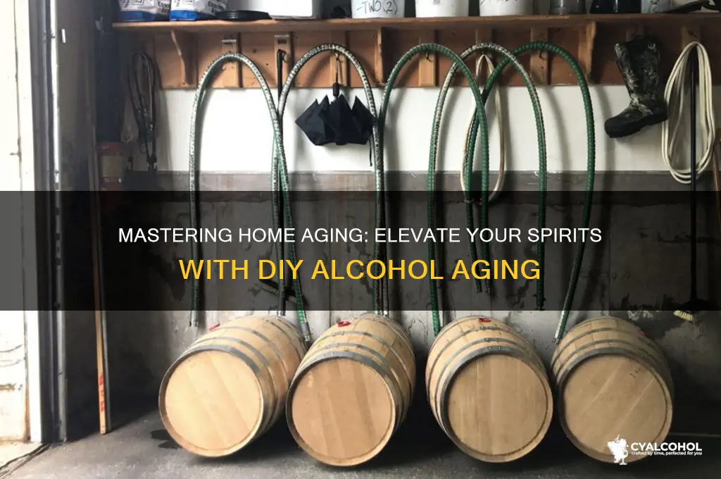 Mastering Home Aging: Elevate Your Spirits With Diy Alcohol Aging ...