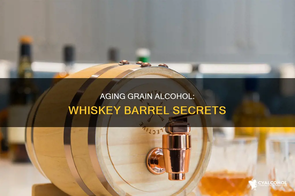 Aging Grain Alcohol: Whiskey Barrel Secrets | CyAlcohol