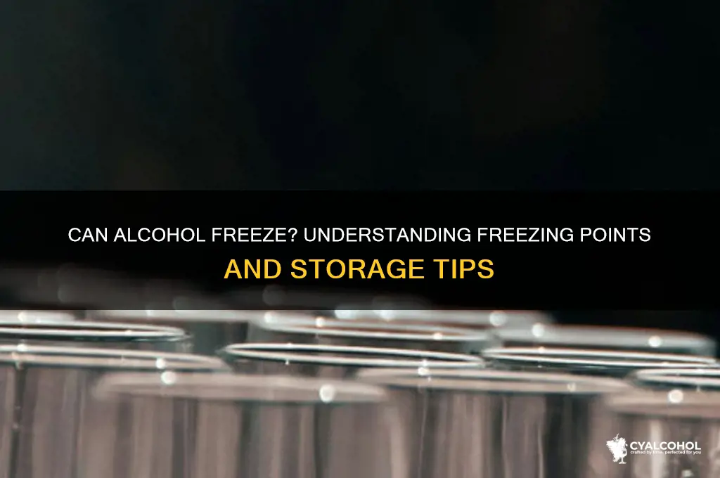Can Alcohol Freeze? Understanding Freezing Points And Storage Tips ...