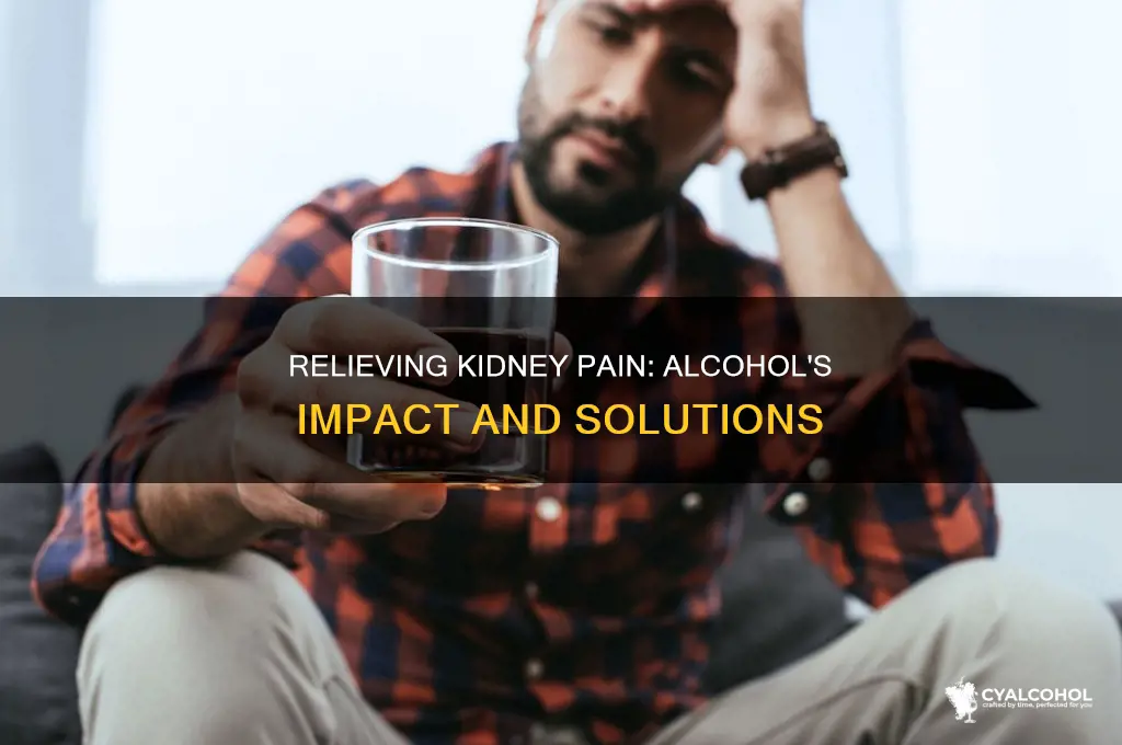 Relieving Kidney Pain: Alcohol's Impact And Solutions | CyAlcohol