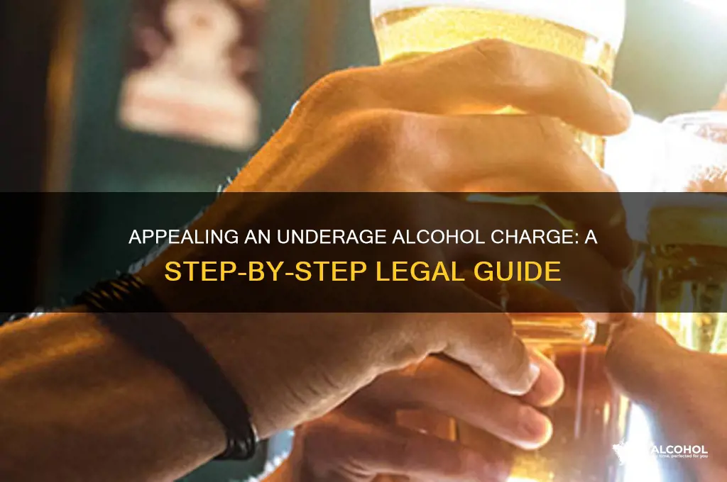 Appealing An Underage Alcohol Charge: A Step-By-Step Legal Guide ...