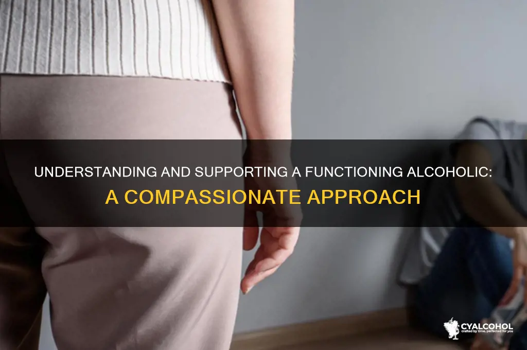 Understanding And Supporting A Functioning Alcoholic: A Compassionate ...