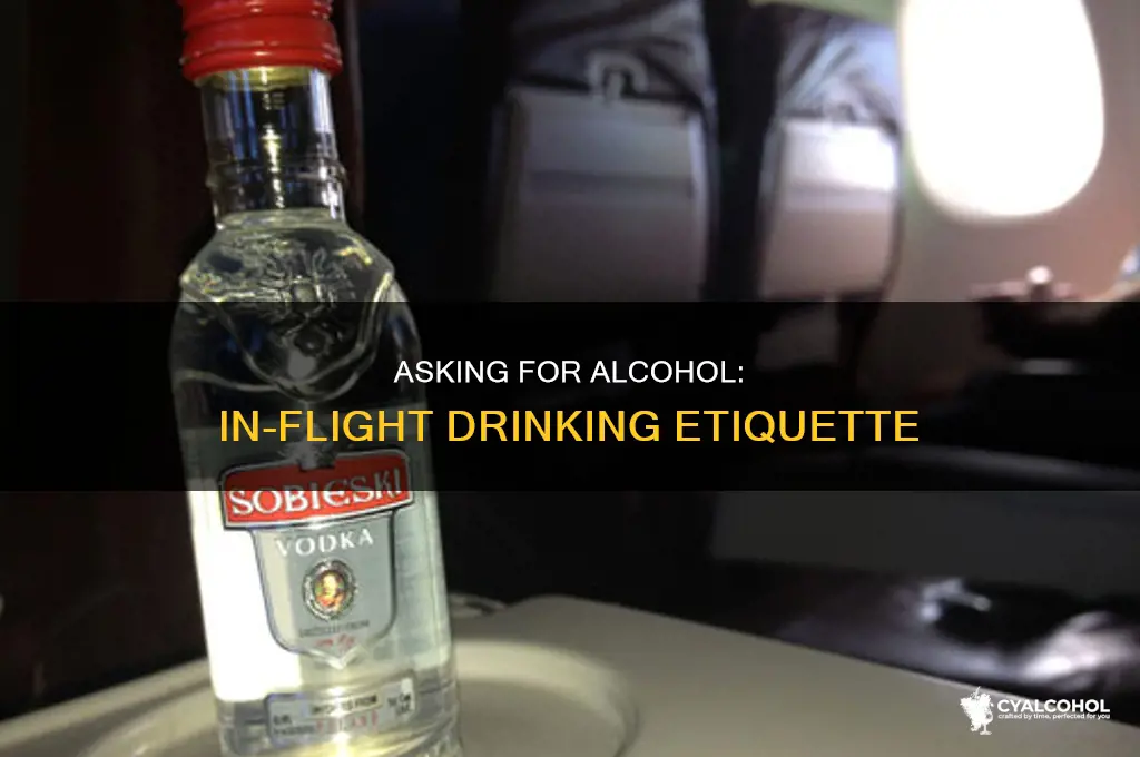 Asking For Alcohol: In-Flight Drinking Etiquette | CyAlcohol