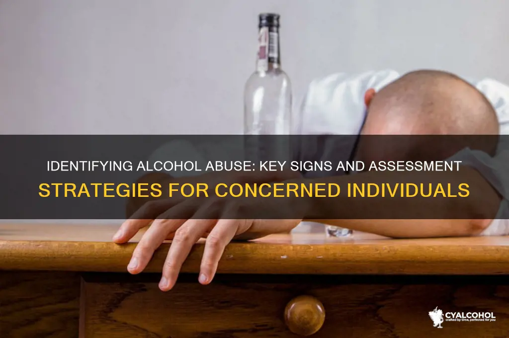 Identifying Alcohol Abuse: Key Signs And Assessment Strategies For ...