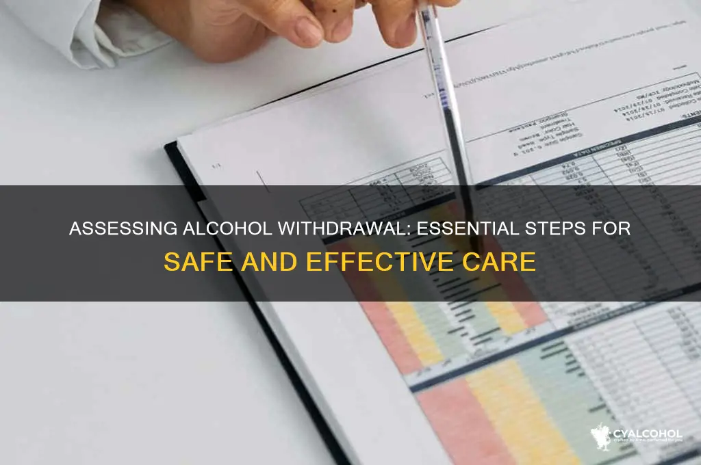 Assessing Alcohol Withdrawal: Essential Steps For Safe And Effective ...