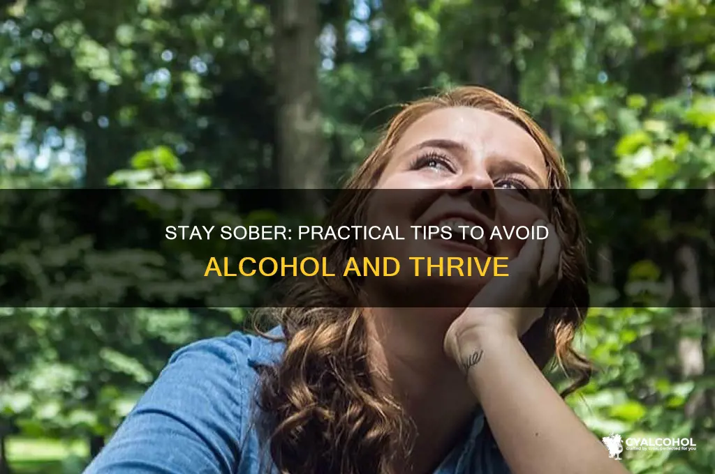 Stay Sober: Practical Tips To Avoid Alcohol And Thrive | CyAlcohol