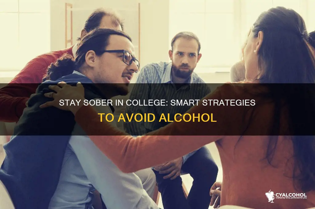 Stay Sober In College: Smart Strategies To Avoid Alcohol | CyAlcohol