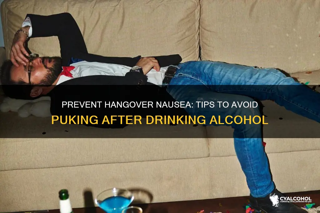 Prevent Hangover Nausea: Tips To Avoid Puking After Drinking Alcohol ...