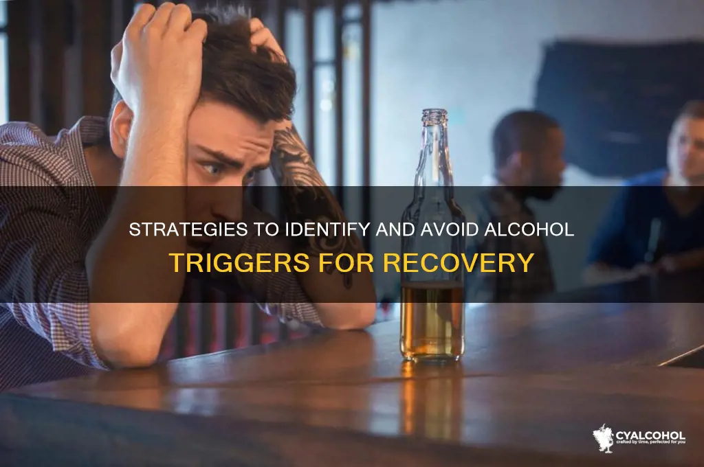 Strategies To Identify And Avoid Alcohol Triggers For Recovery | CyAlcohol