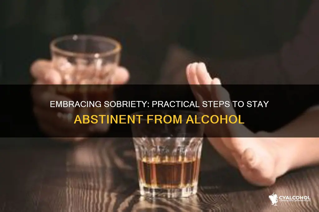 Embracing Sobriety: Practical Steps To Stay Abstinent From Alcohol ...
