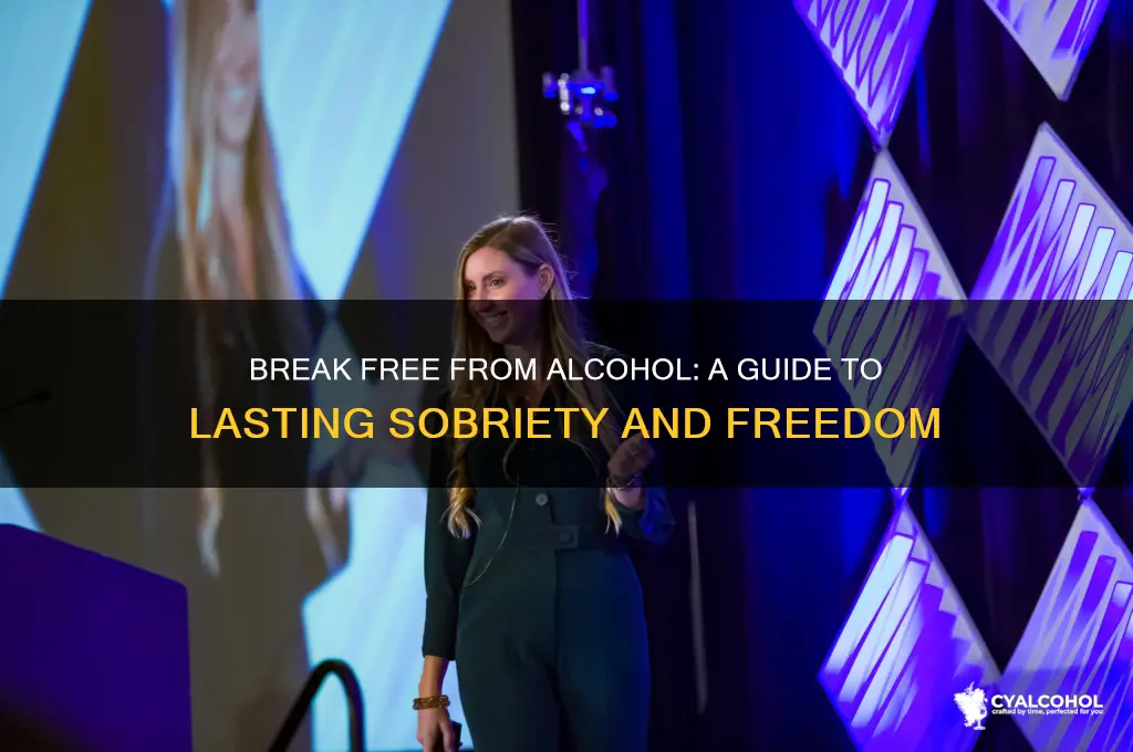 Break Free From Alcohol: A Guide To Lasting Sobriety And Freedom ...