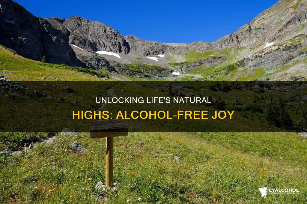 Unlocking Life's Natural Highs: Alcohol-Free Joy | CyAlcohol