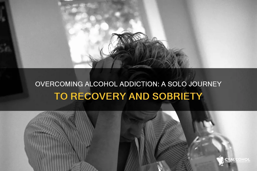 Overcoming Alcohol Addiction: A Solo Journey To Recovery And Sobriety ...