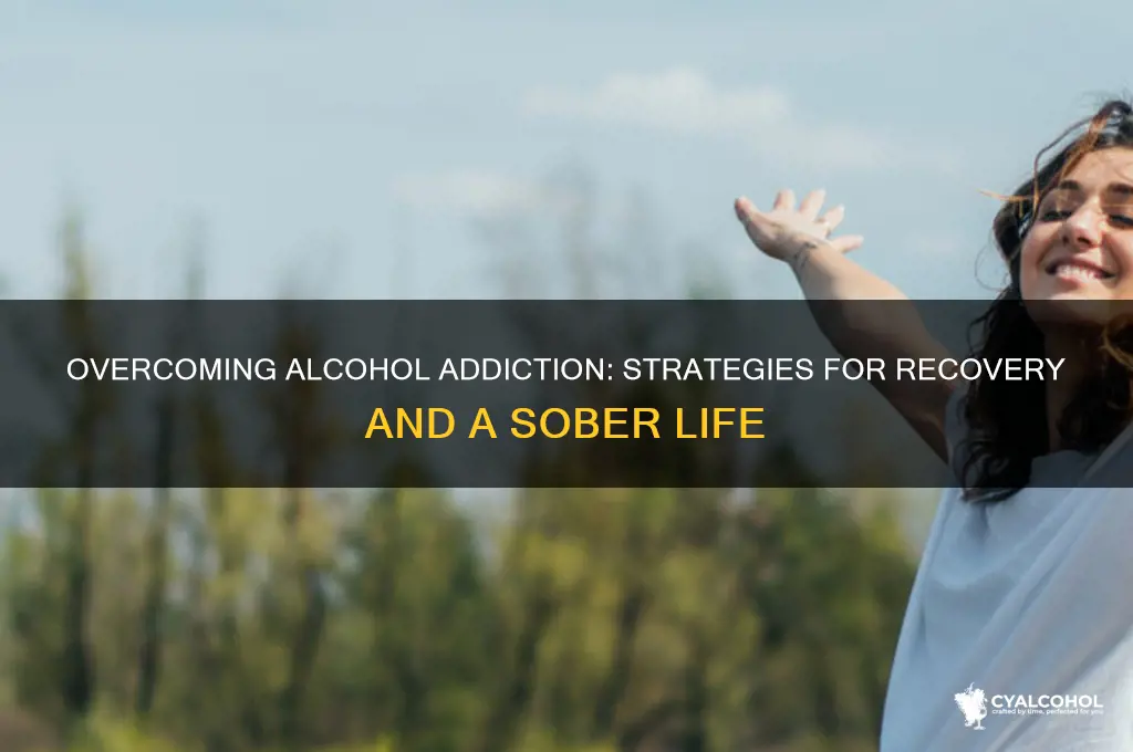 Overcoming Alcohol Addiction: Strategies For Recovery And A Sober Life ...
