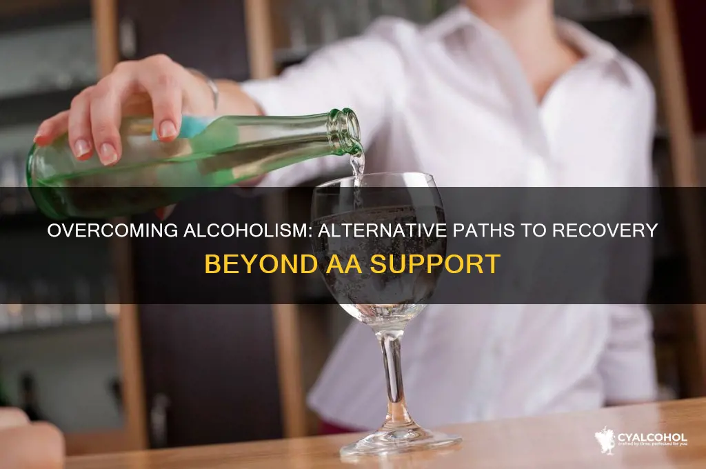 Overcoming Alcoholism: Alternative Paths To Recovery Beyond Aa Support ...