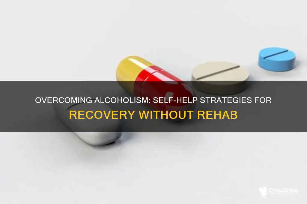 Overcoming Alcoholism: Self-Help Strategies For Recovery Without Rehab ...