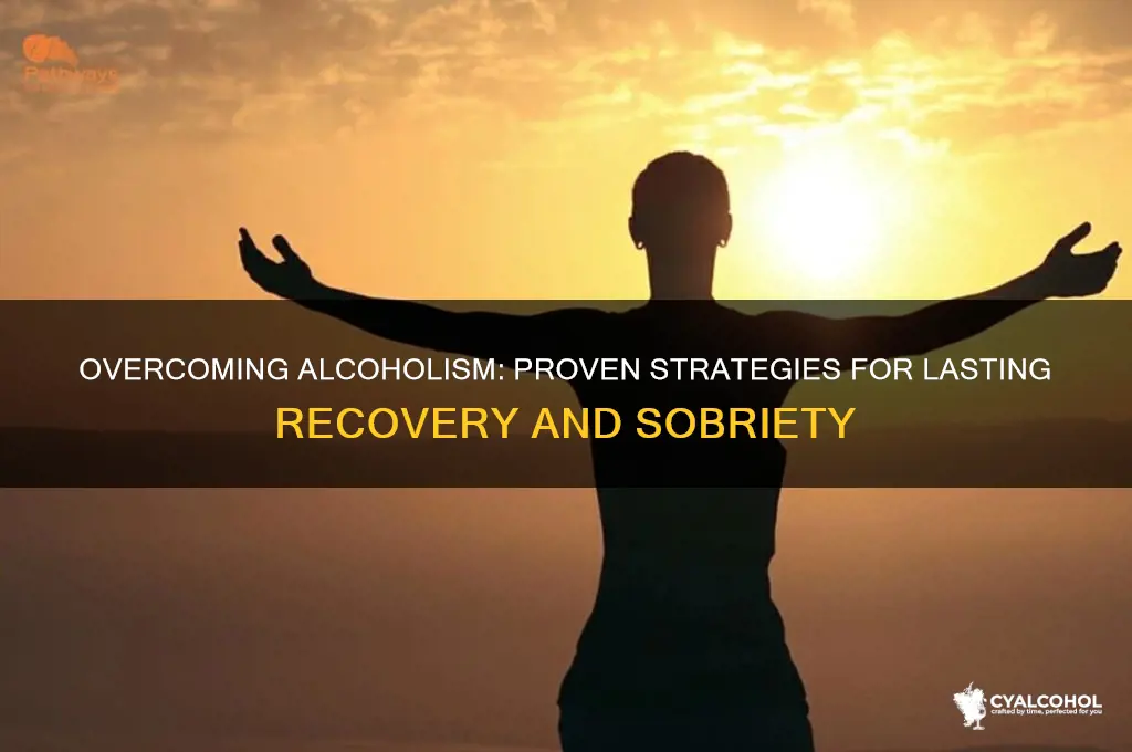 Overcoming Alcoholism: Proven Strategies For Lasting Recovery And ...