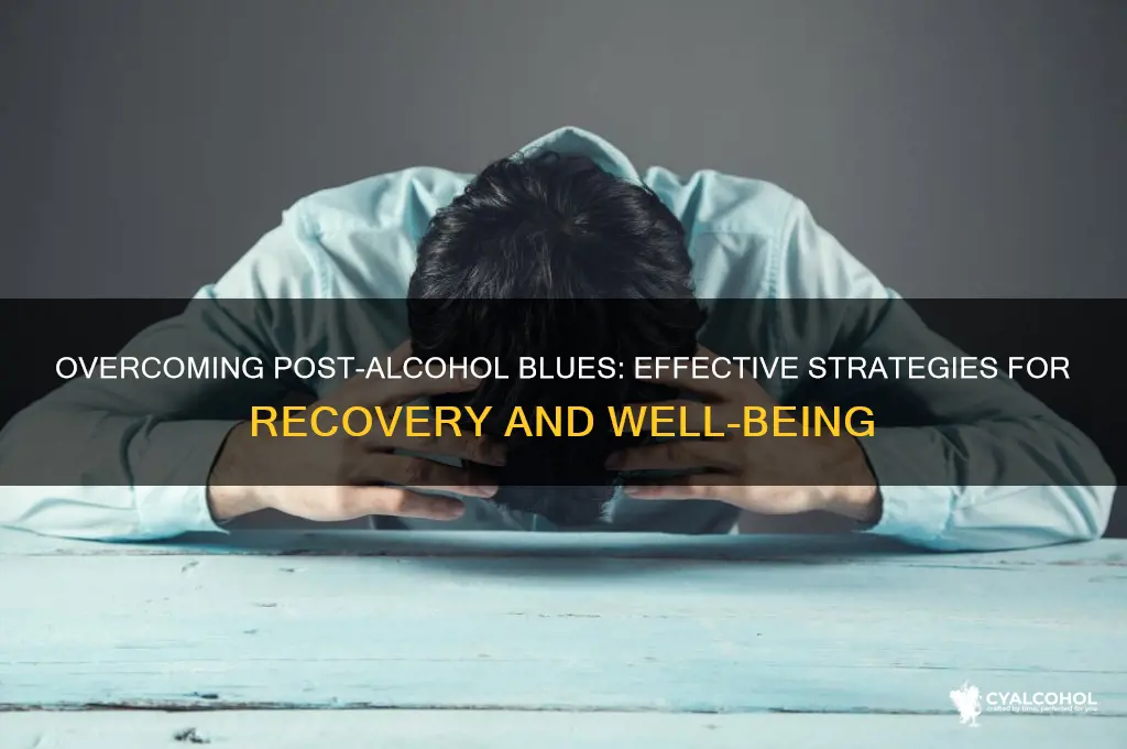 Overcoming Post-Alcohol Blues: Effective Strategies For Recovery And ...