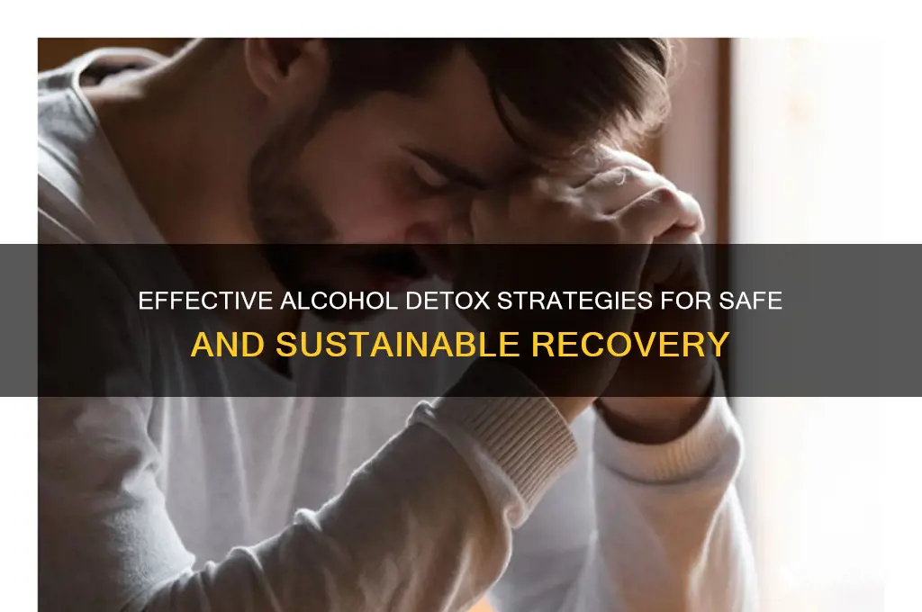 Effective Alcohol Detox Strategies For Safe And Sustainable Recovery ...