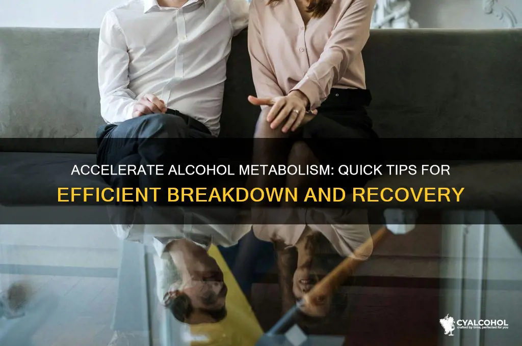 Accelerate Alcohol Metabolism: Quick Tips For Efficient Breakdown And ...