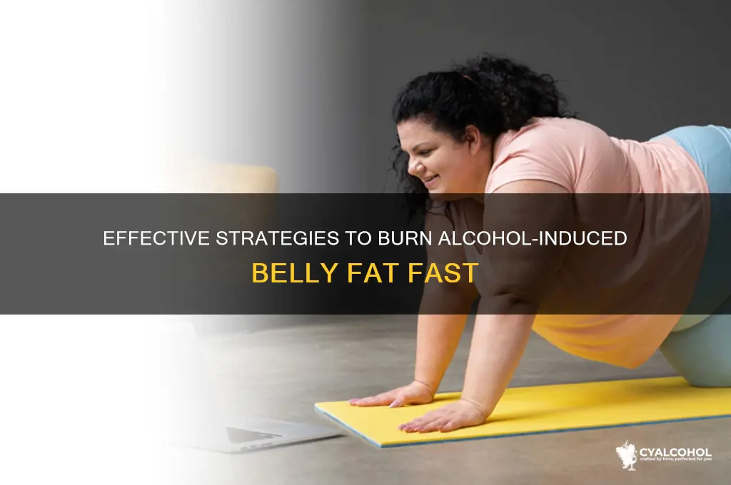 Effective Strategies To Burn Alcohol-Induced Belly Fat Fast | CyAlcohol