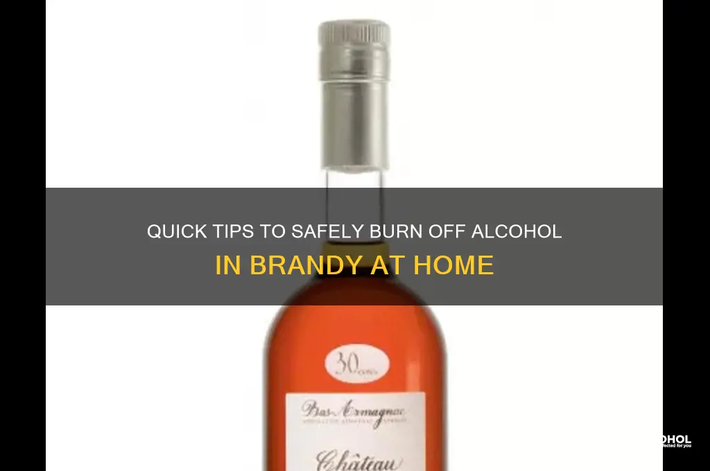 Quick Tips To Safely Burn Off Alcohol In Brandy At Home | CyAlcohol