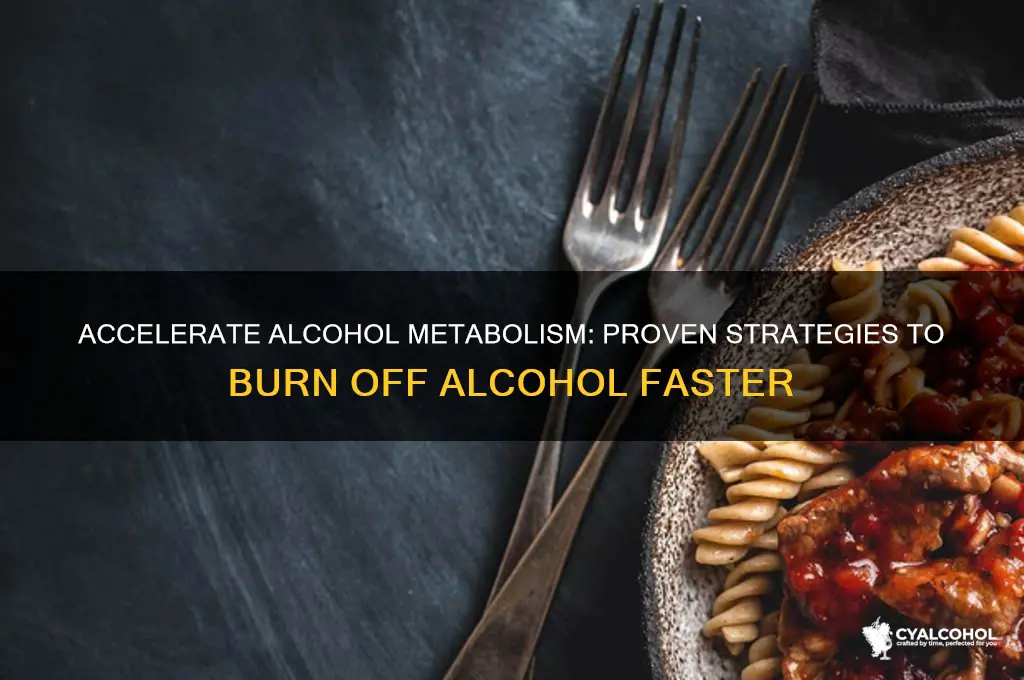Accelerate Alcohol Metabolism: Proven Strategies To Burn Off Alcohol ...