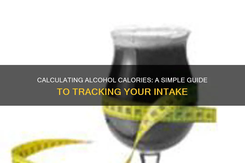 Calculating Alcohol Calories: A Simple Guide To Tracking Your Intake ...