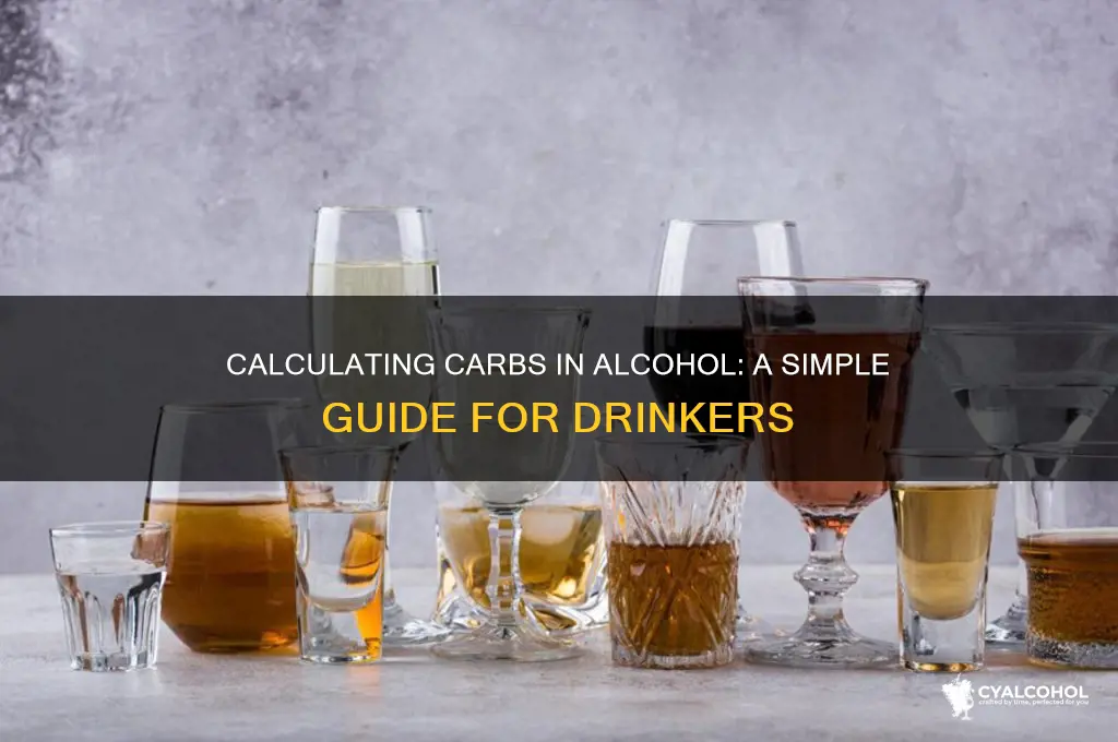 Calculating Carbs In Alcohol: A Simple Guide For Drinkers | CyAlcohol