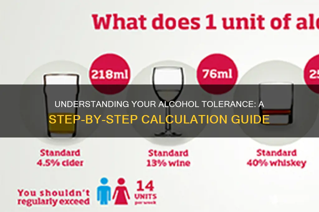 Understanding Your Alcohol Tolerance: A Step-By-Step Calculation Guide ...